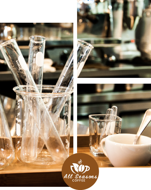 Kenya Arabica coffee processing | Call : +254 748 108 760